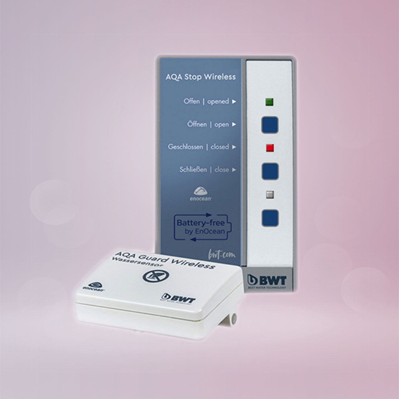 Sådan beskytter du dit hjem med vandalarmer - BWT