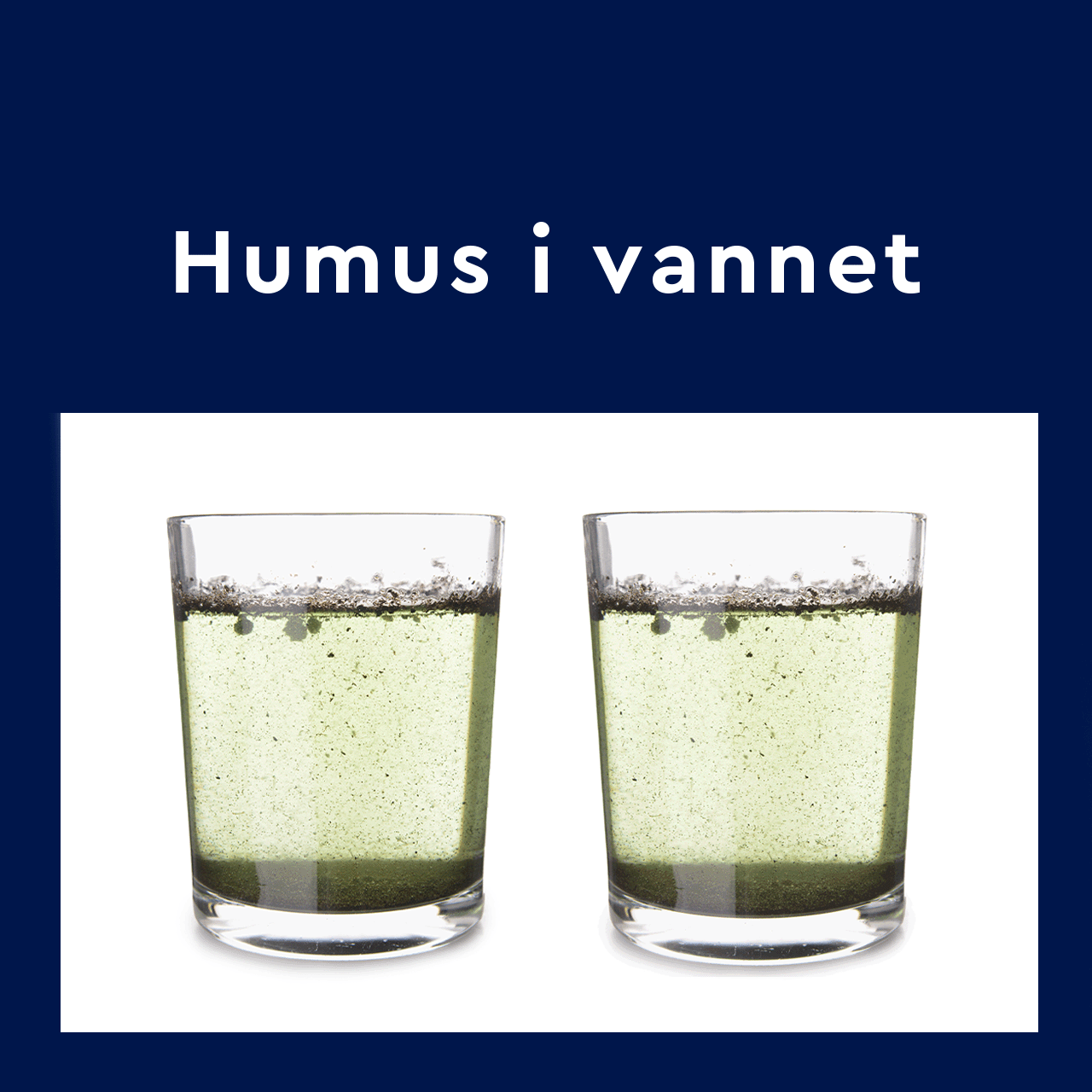 Humus i vannet? Få rent og trygt vann med BWTs løsninger - BWT