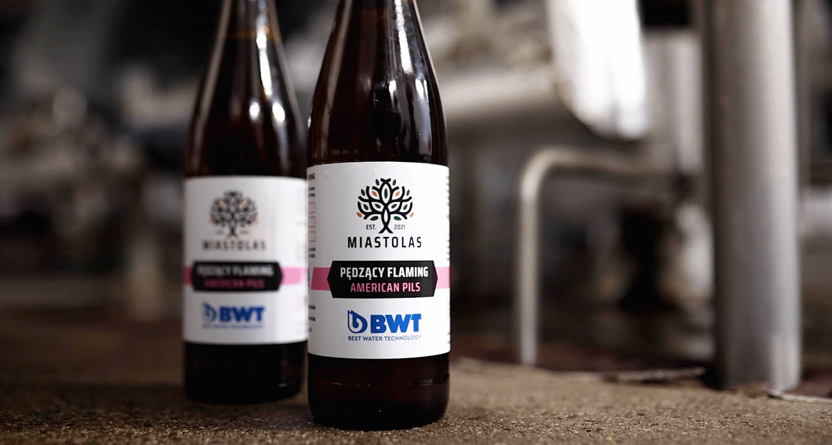 Strona główna - BWT